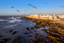 Afribaba Massage Center Beni Mellal | Relaxing Spa & Full-Body Massage ...